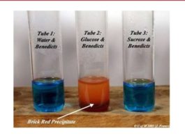Seliwanoff's test for aldo and keto sugar - Medical Study Zone