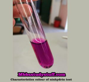 Ninhydrin test - Medical Study Zone