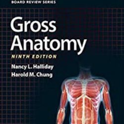 BRS Gross Anatomy pdf download and Review Archives - Medical Study Zone