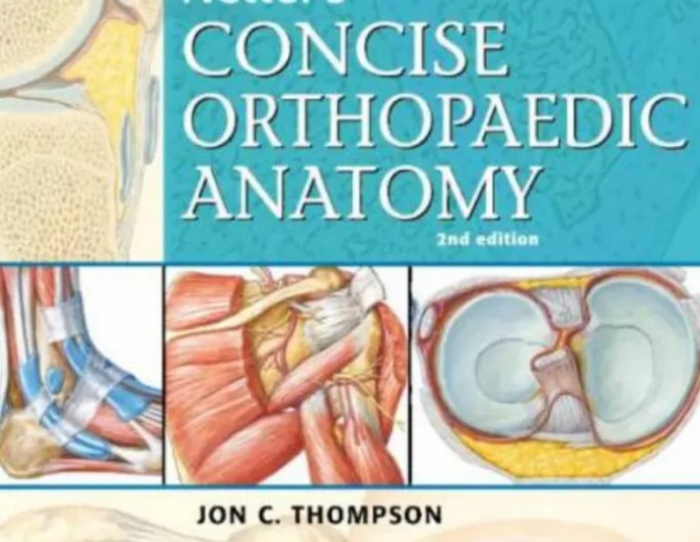 Netter’s Concise Orthopaedic Anatomy 2nd Edition PDF Free Download ...