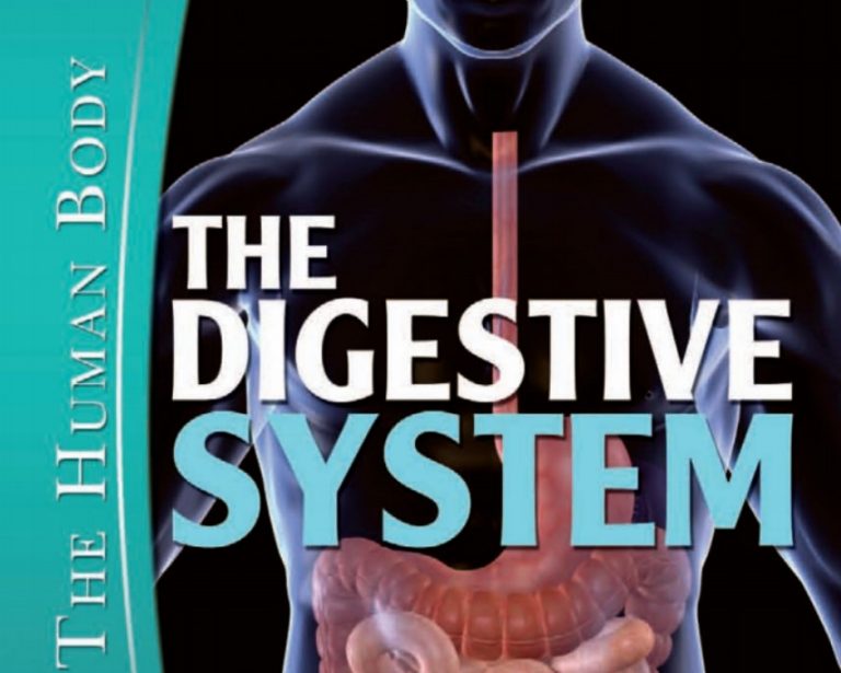 The Human Body: The Digestive System PDF Free Download - Medical Study Zone