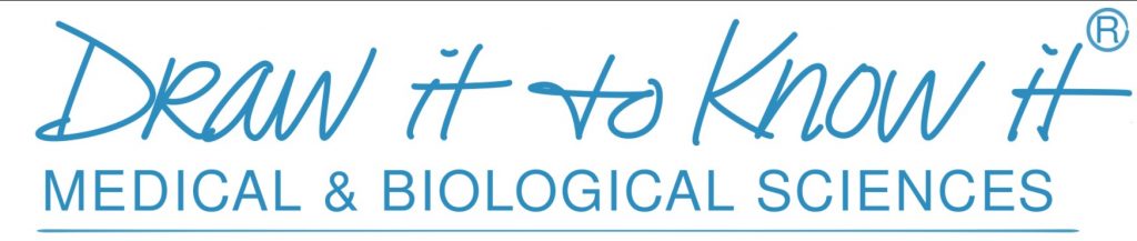 Draw it to know it Embryology 2023 Free Download - Medical Study Zone