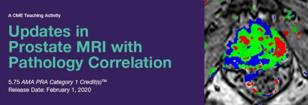 Updates in Prostate MRI with Pathology Correlation 2020 Free Download ...