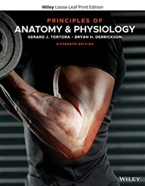 Principles Of Anatomy And Physiology 16th Edition PDF Free Download 