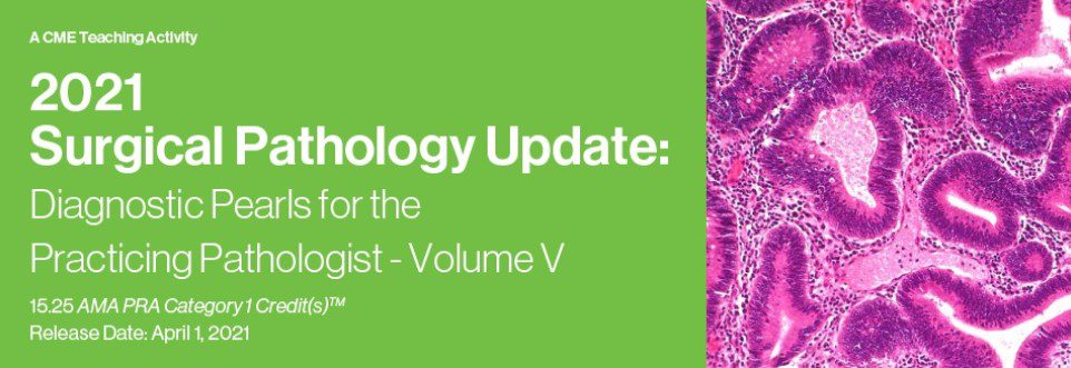 Download Surgical Pathology Update: Diagnostic Pearls for the ...