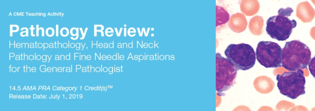 Download 2019 Pathology Review : Hematopathology, Head and Neck ...