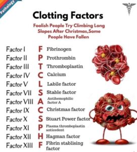 Pathology is Fun Part 1 PDF Free Download - Medical Study Zone