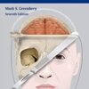 Neurosurgery Archives - Medical Study Zone