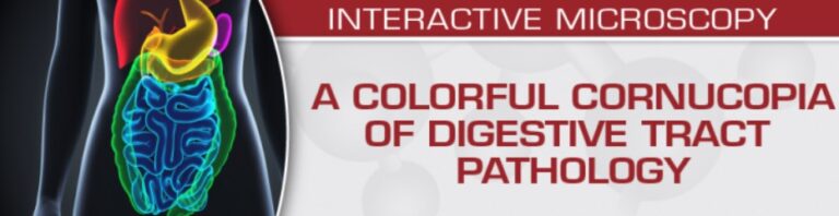 USCAP A Colorful Cornucopia of Digestive Tract Pathology 2022 Videos ...