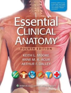 Essential Clinical Anatomy 4th Edition PDF Free Download - Medical ...