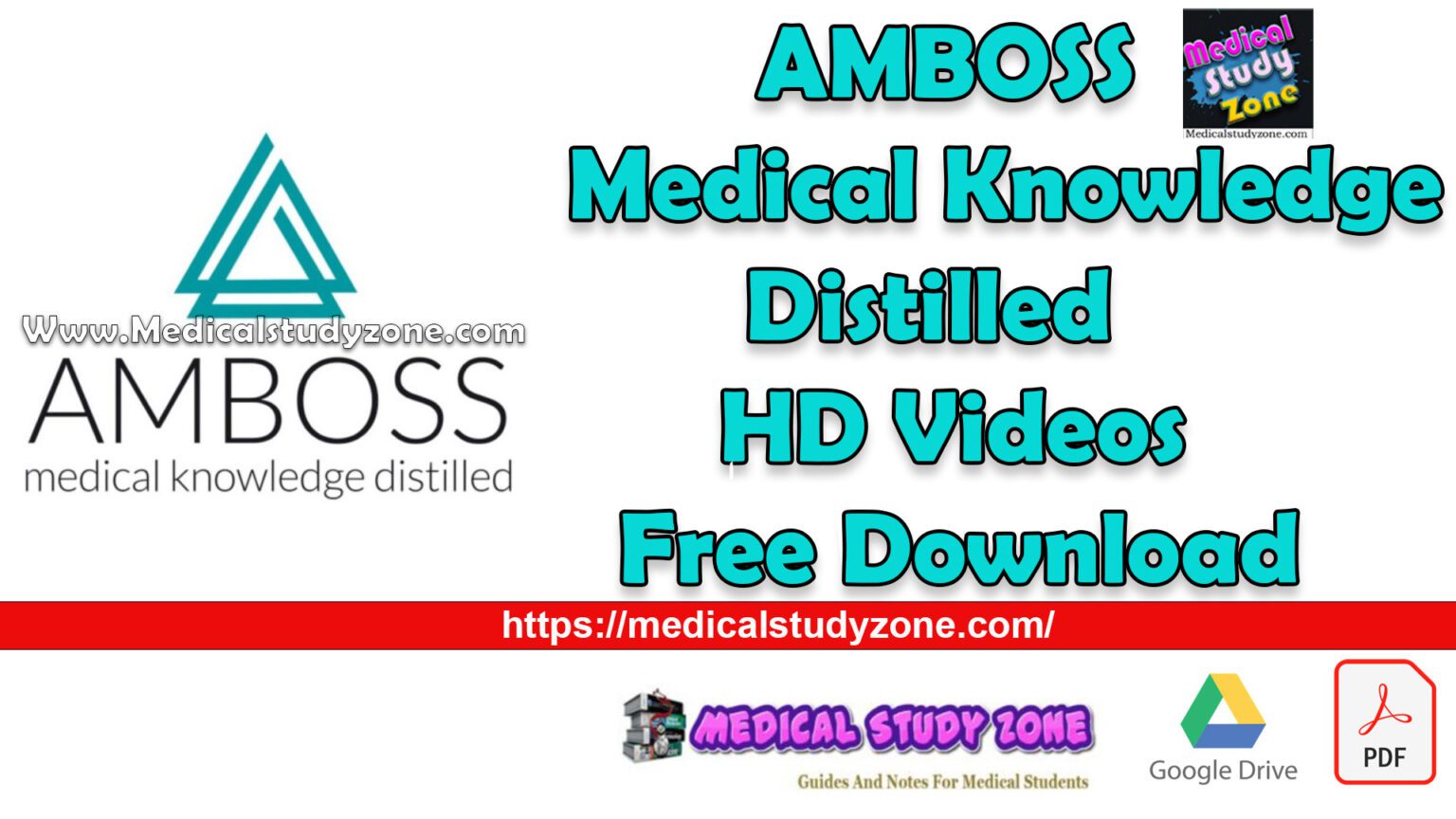 AMBOSS: Medical Knowledge Distilled HD Videos Free Download [1.01 GB] - Medical Study Zone