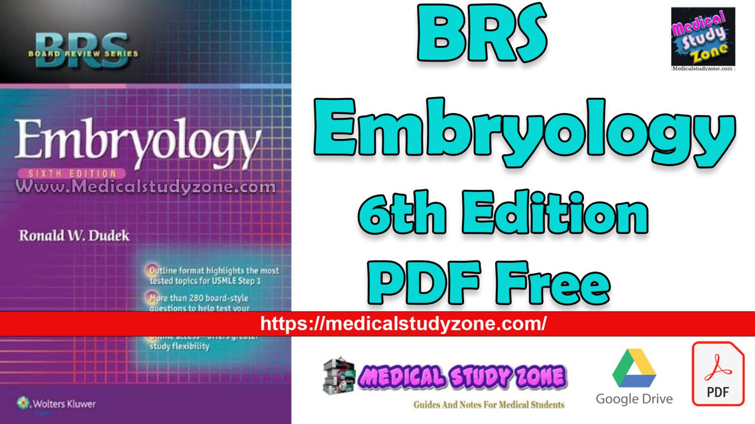 BRS Embryology 6th Edition PDF Free Download [Google Drive] - Medical Study Zone
