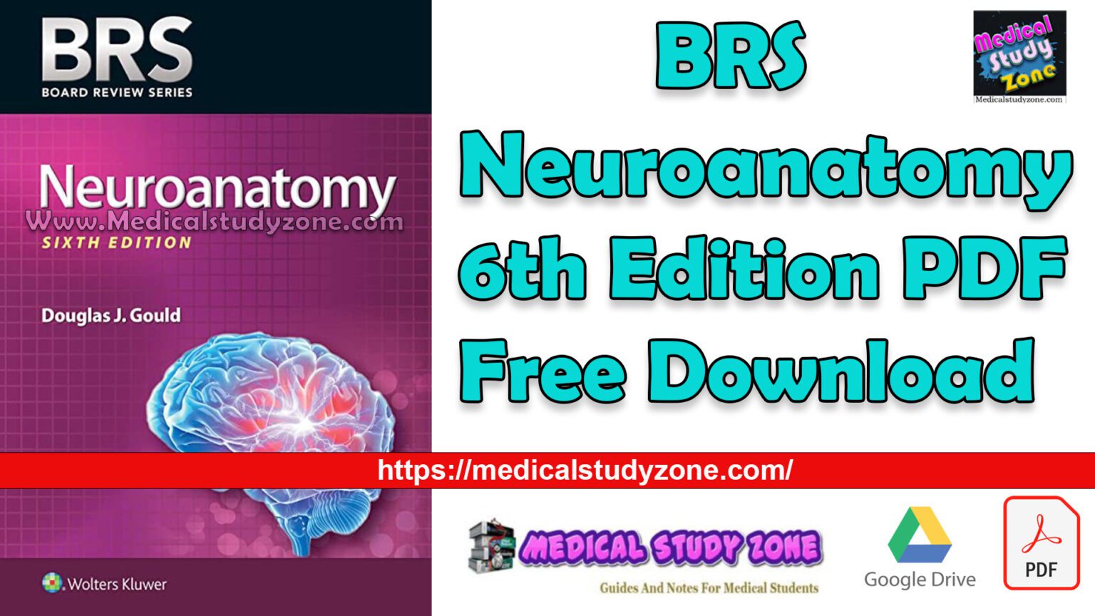 BRS Neuroanatomy 6th Edition PDF Free Download [Direct Link] - Medical Study Zone