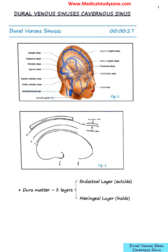 Dr Azam Sir Anatomy Notes PDF Free Download Medical Study Zone
