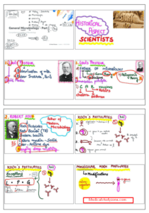 Dr Preeti Sharma Microbiology Notes PDF Free Download - Medical Study Zone