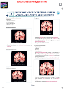 Prepladder 5.0 Neurology Notes PDF Free Download - Medical Study Zone