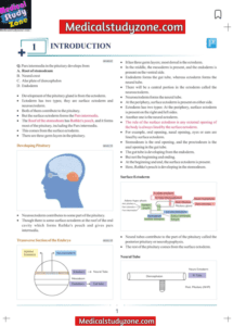 Prepladder Anatomy 5.0 Next Edition Notes PDF Free Download - Medical ...