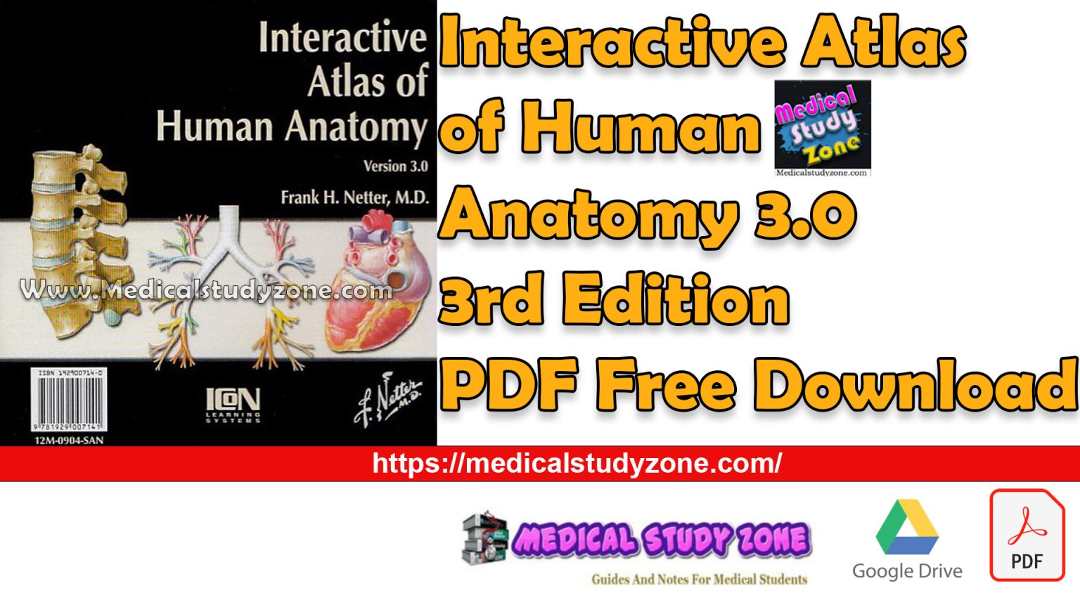 Interactive Atlas of Human Anatomy 3.0 3rd Edition PDF Free Download ...